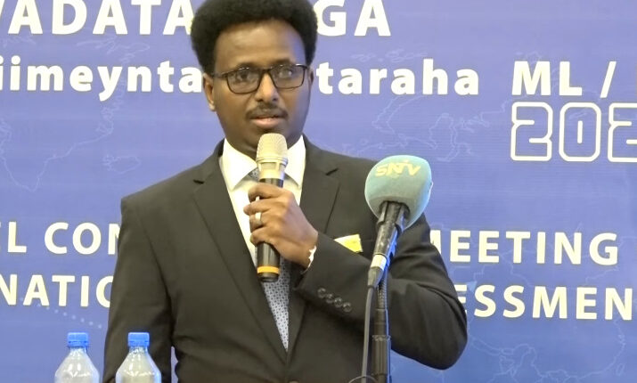 DFS Oo Gacanta Ku Dhigtay Shabakado Ka Shaqeynayay Socdaal Sharci Darro Ah | Aragti Cusub